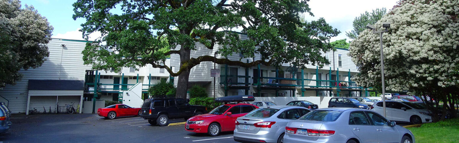 Greystone Properties